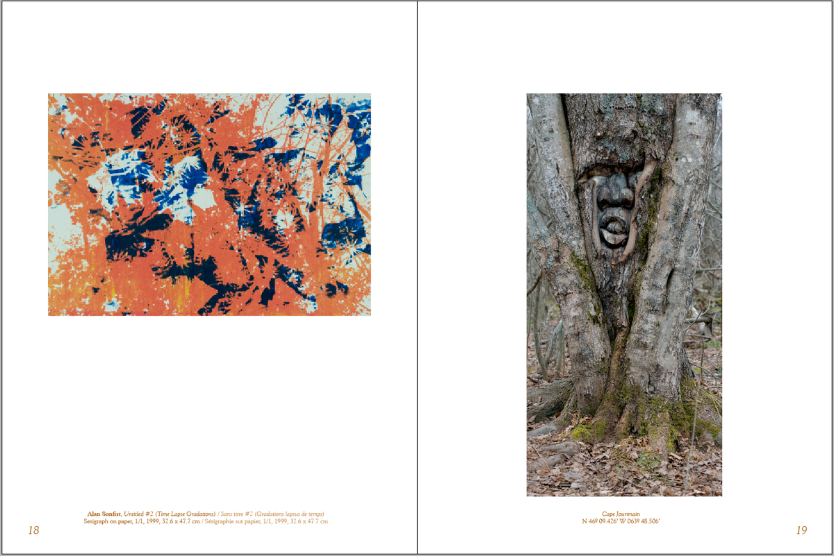 Mosom Maskwa - Pawakan Grandfather Bear - Spirit-Guides (Grand-père ou ...